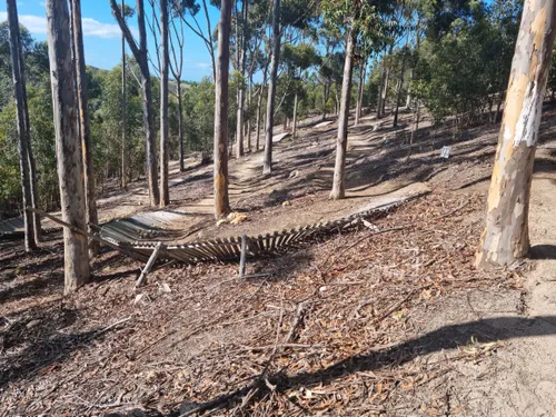 Best River Trails in Onrus River | AllTrails