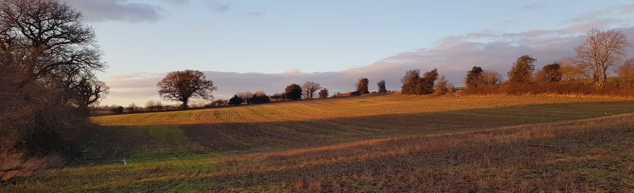 Eastbourne, Wartling, Hailsham and Polegate Circular, 11 Fotos - East ...