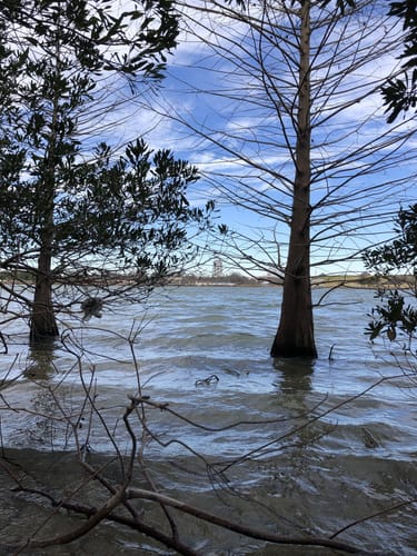 Best Hikes and Trails in Mount Trashmore Park | AllTrails