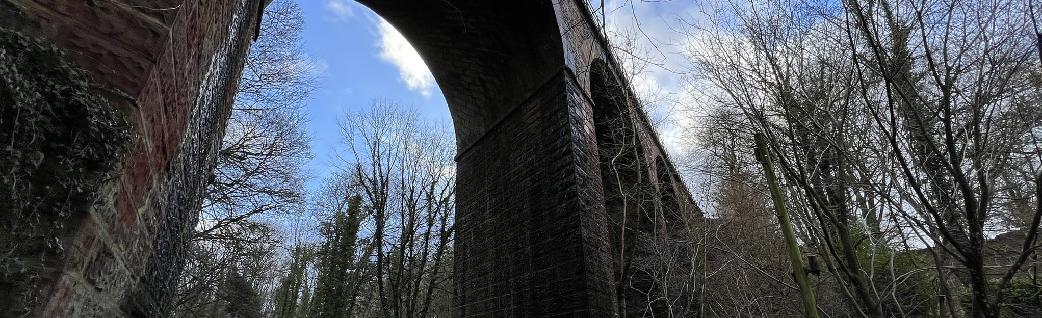 Gelt Woods: 191 Reviews, Map - Cumbria, England | AllTrails