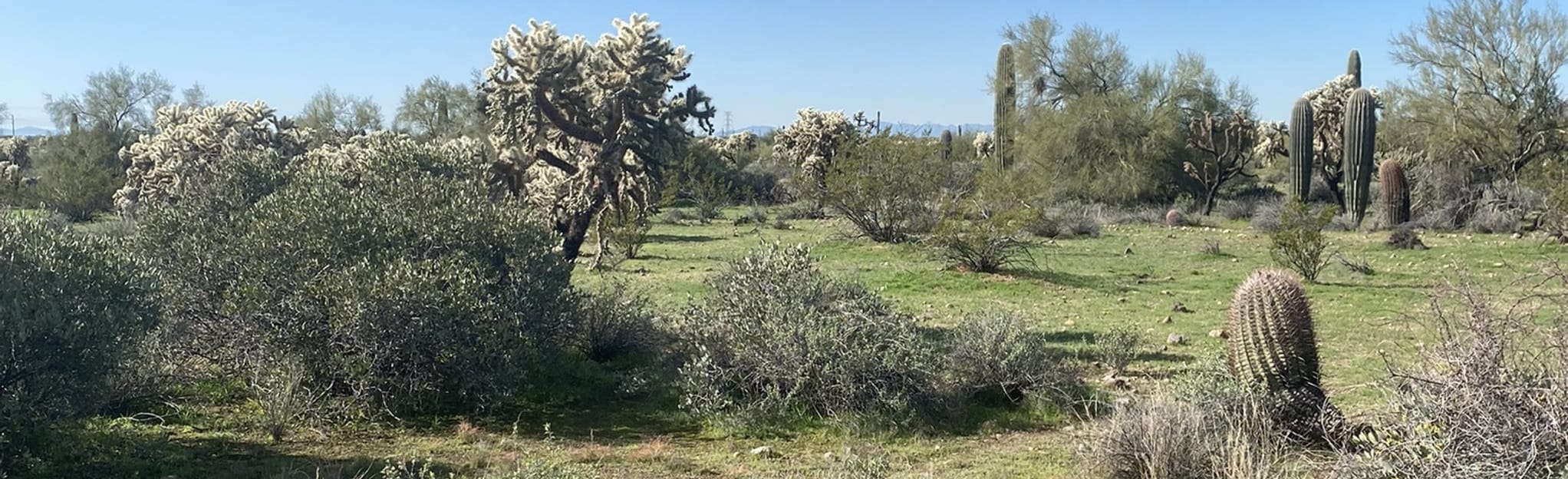 Ruidoso Trail, Meridian Trail, and County Line Trail Loop, Arizona ...