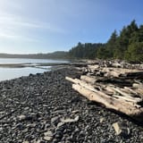 Bayocean Peninsula, Oregon - 630 Reviews, Map | AllTrails