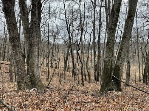 Best Hikes and Trails in Trine State Recreation Area | AllTrails