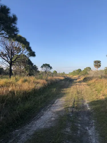 Best Hikes and Trails in Wolf Branch Nature Preserve | AllTrails