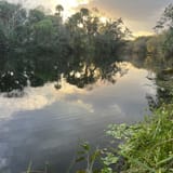 Ten Mile Creek Nature Trail , Florida - 53 Reviews, Map | AllTrails