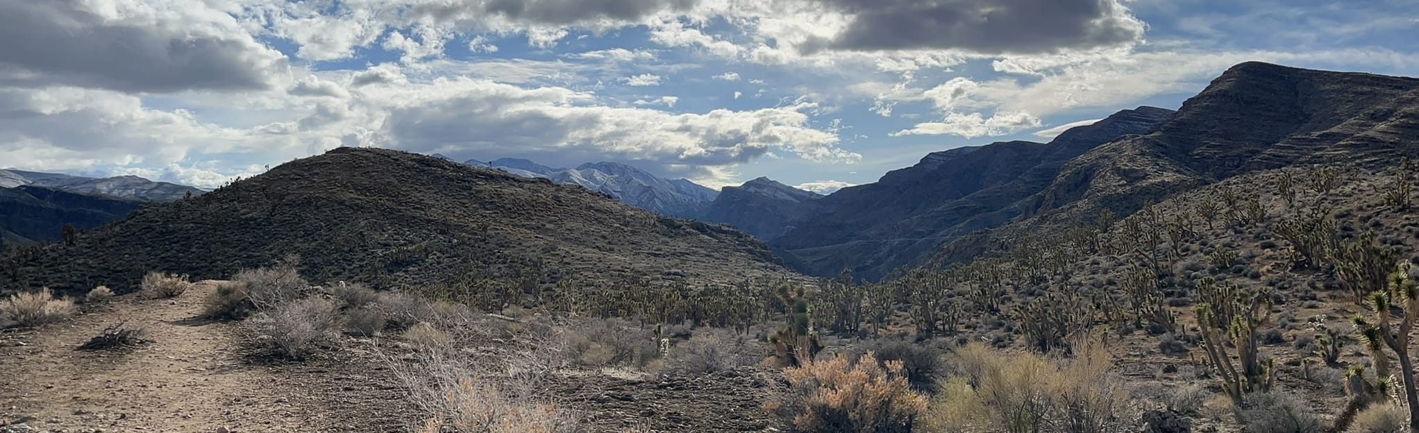 Cedar Pocket Wash Overlook, Arizona - 54 Reviews, Map | AllTrails