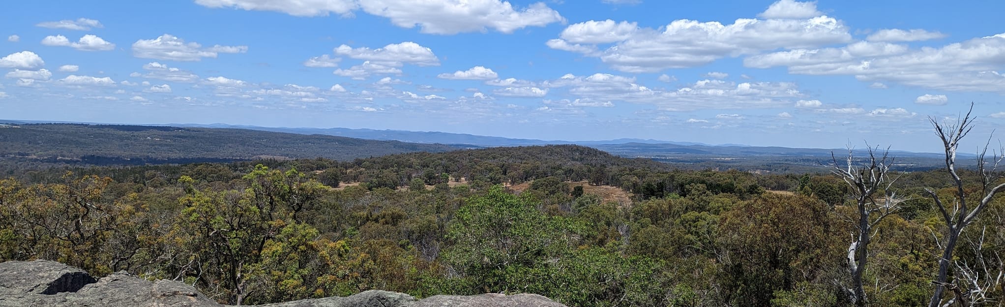 Donnellys Castle, Queensland, Australia - 10 Reviews, Map | AllTrails