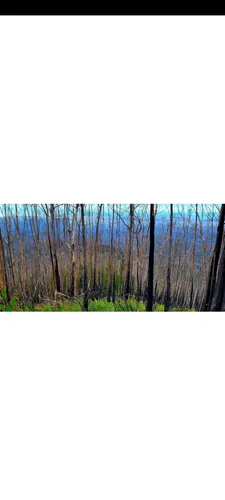 Best Hikes and Trails in Mount Imlay National Park | AllTrails