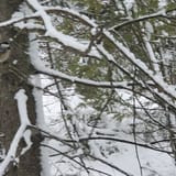 Cyprus Lake Trail, Ontario, Canada - 314 Reviews, Map | AllTrails