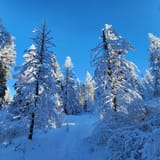 Moon Lake Trail, Manitoba, Canada - 238 Reviews, Map | AllTrails