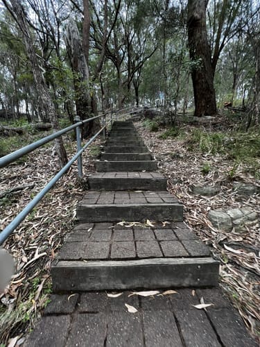 Best Hikes and Trails in Springwood Conservation Park | AllTrails