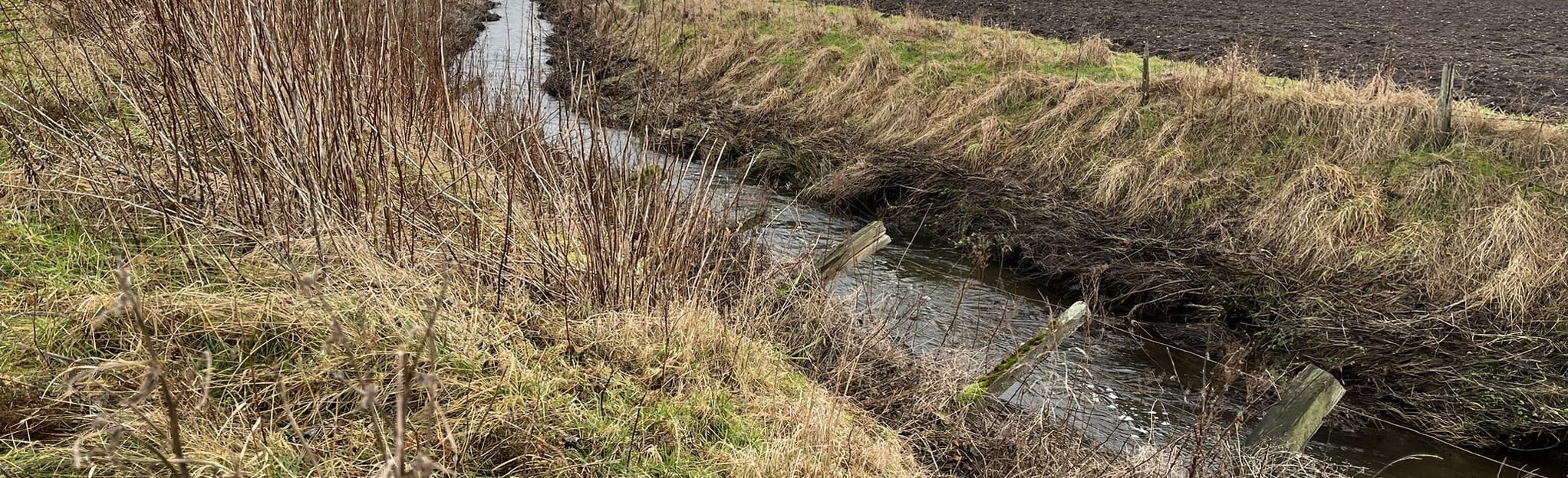 Maud to Auchnagatt via Formartine and Buchan Way, Aberdeenshire ...