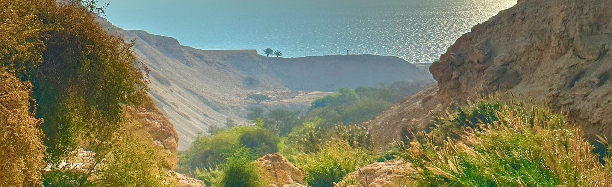 Ein Gedi Town Loop: 13 foto's - Southern District HaDarom, Israël ...