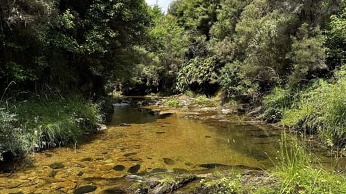 2023 Best Long Trails in Waitati | AllTrails