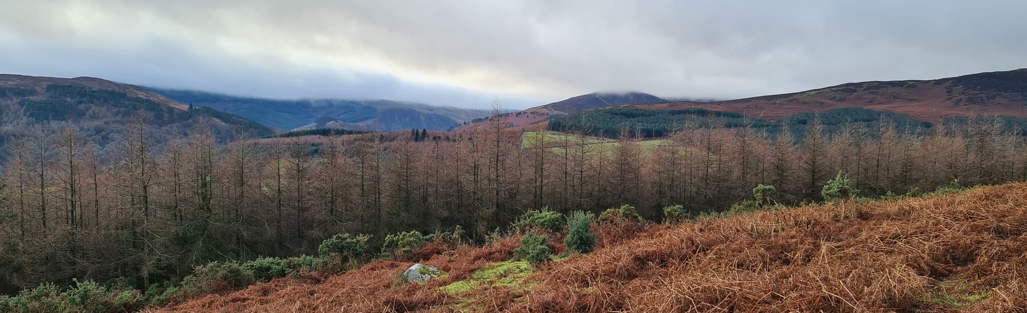 AllTrails | Trooperstown Hill - Circuit of Laragh - Paddock Hill Loop ...