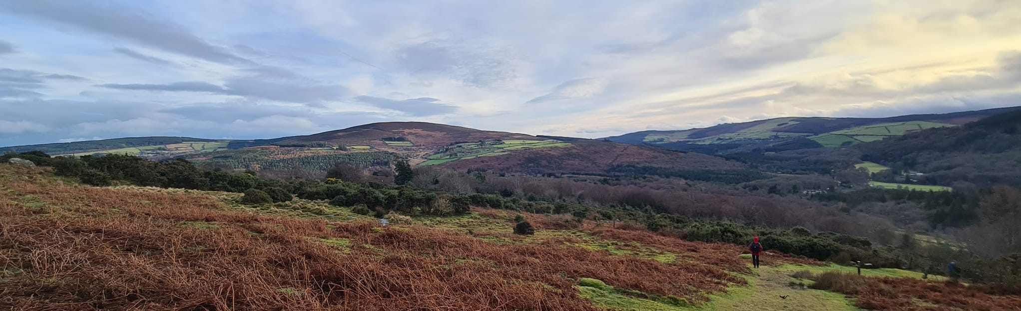 Paddock Hill Reserve Loop, County Wicklow, Ireland - 11 Reviews, Map ...