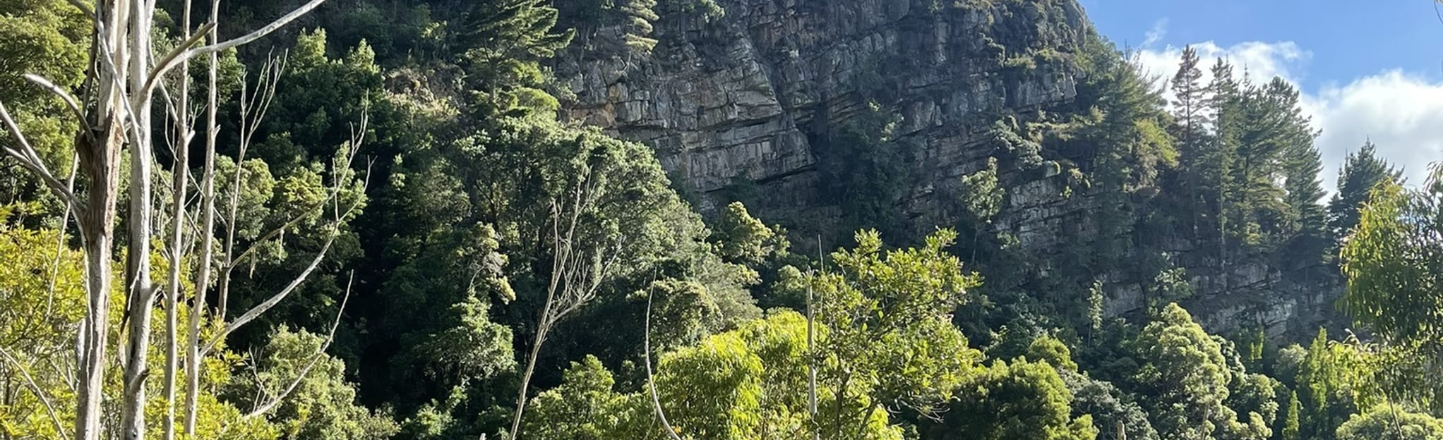 Cecilia Forest to Devilliers Dam: 59 Reviews, Map - Western Cape, South ...