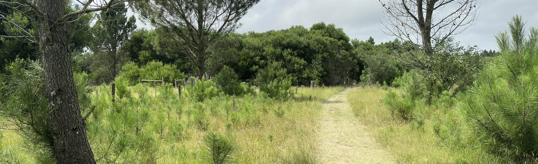 Norm-Hudlin MTB Trails, Eastern Cape, South Africa - 24 Reviews, Map ...