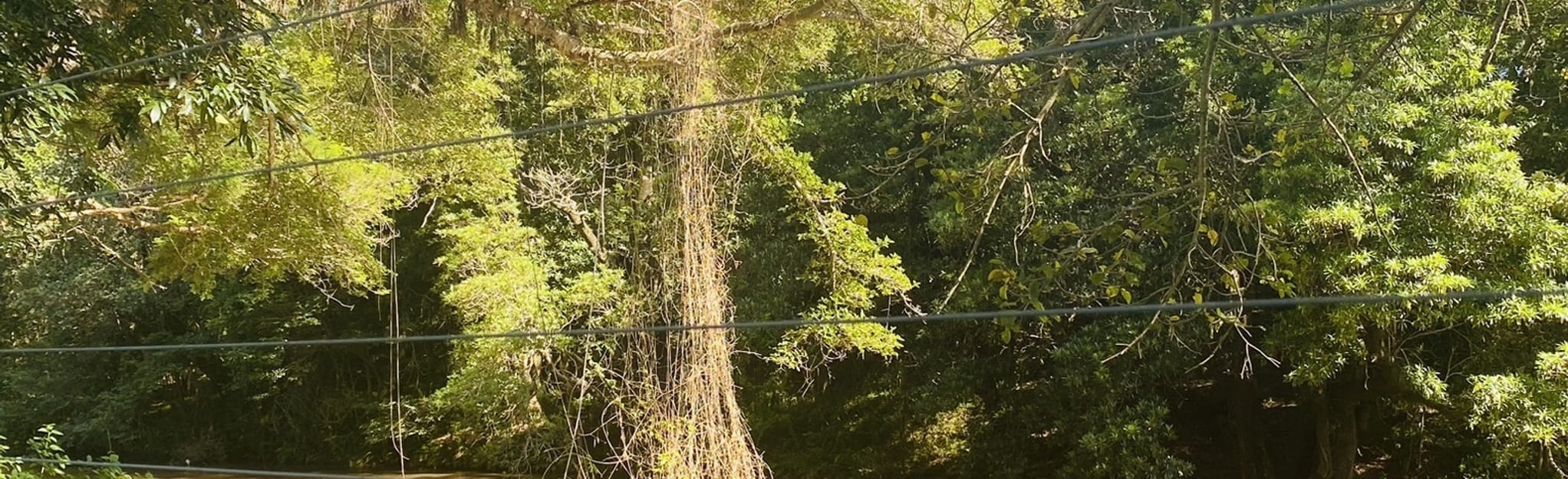 Sabi River Sun Trail, Mpumalanga, South Africa - 10 Reviews, Map ...