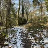 Peover Eye Circular, Cheshire, England - 91 Reviews, Map | AllTrails