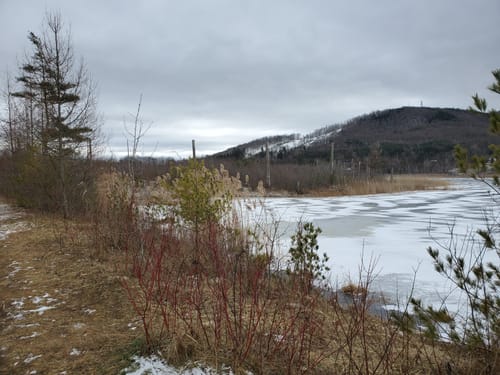 Best Hikes and Trails in Wild Acres Park | AllTrails