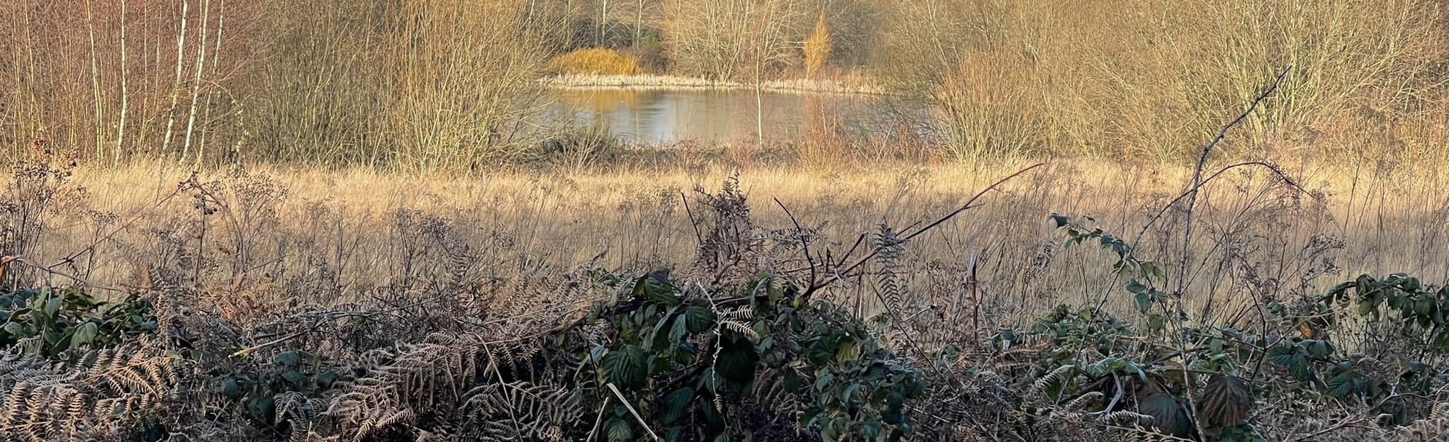 Tyler Hill Circular: 2 foto's - Kent, Engeland | AllTrails