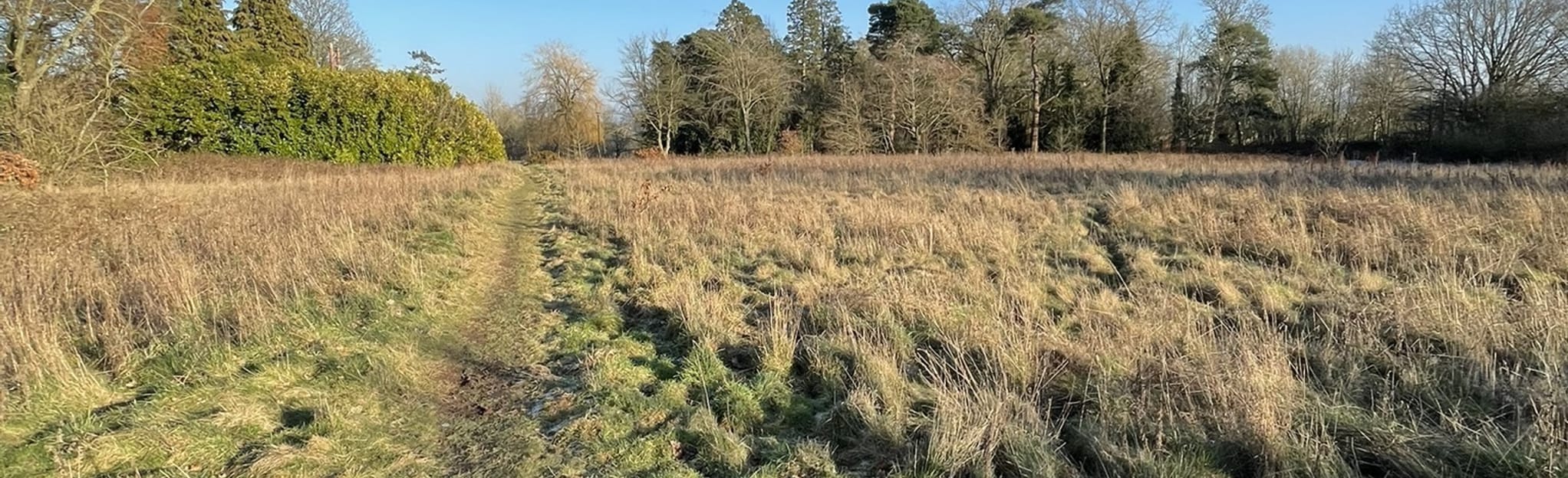 Hockley Heath Circular, West Midlands, England - 31 Reviews, Map ...