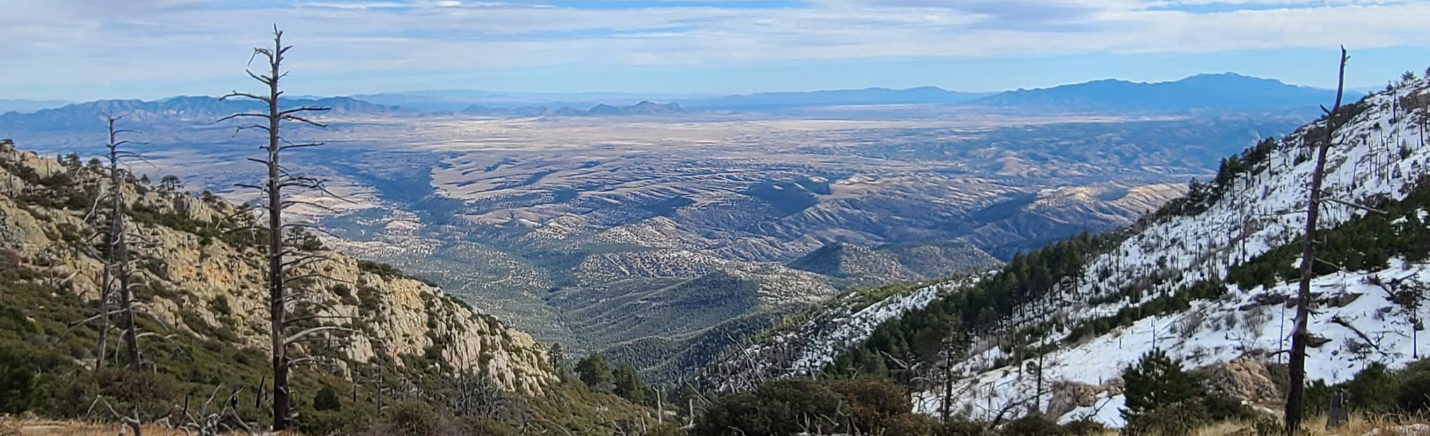 Florida Canyon to Mount Wrightson, Arizona - 34 Reviews, Map | AllTrails