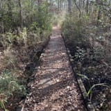 Neusiok Trail, North Carolina - 90 Reviews, Map | AllTrails