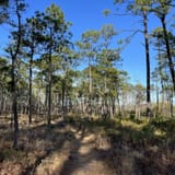 Neusiok Trail, North Carolina - 92 Reviews, Map | AllTrails