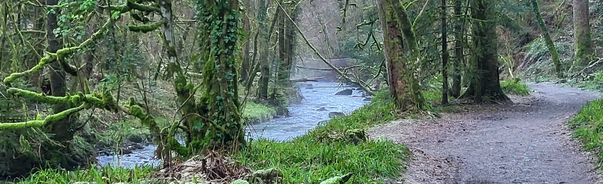 Lydford Gorge Walk, White Lady Waterfall, and Lydford Castle Circular ...
