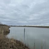 Cedar Bonnet Island, New Jersey - 155 Reviews, Map | AllTrails