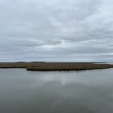 Cedar Bonnet Island, New Jersey - 155 Reviews, Map | AllTrails