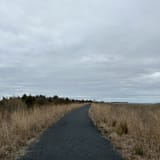 Cedar Bonnet Island, New Jersey - 155 Reviews, Map | AllTrails