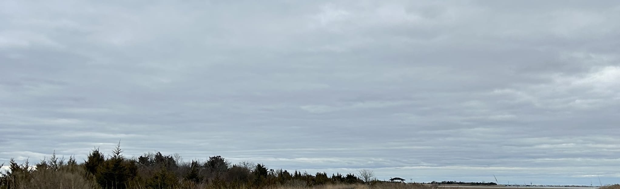 Cedar Bonnet Island: 125 Reviews, Map - New Jersey | AllTrails