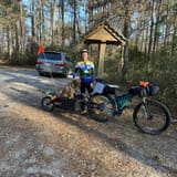 Neusiok Trail, North Carolina - 92 Reviews, Map | AllTrails