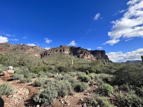 Best 10 Hikes and Trails in Superstition Wilderness | AllTrails