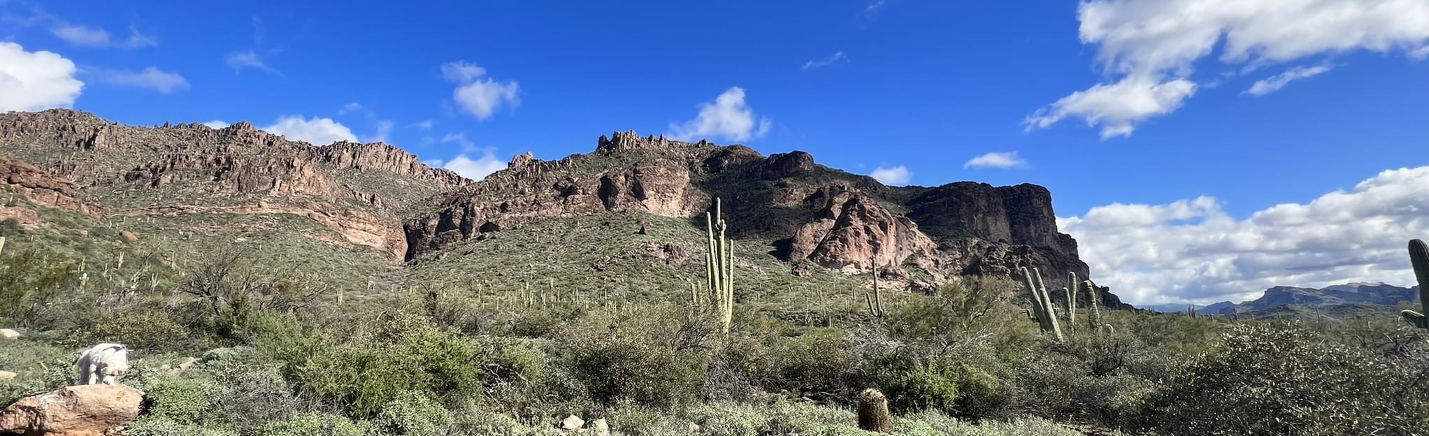 Shaka Cave via Lost Goldmine Trail: 899 Reviews, Map - Arizona | AllTrails
