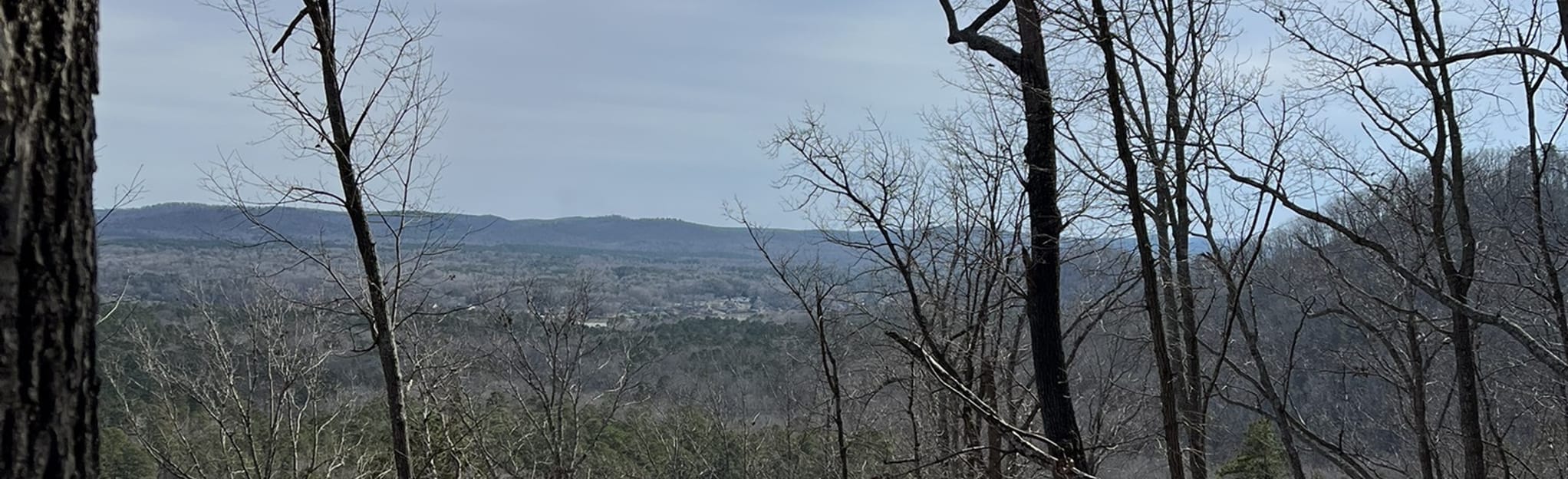 Hattaway Mountain Trail, North Carolina - 296 Reviews, Map | AllTrails