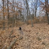 Grindstone Nature Area Loop, Missouri - 374 Reviews, Map | AllTrails
