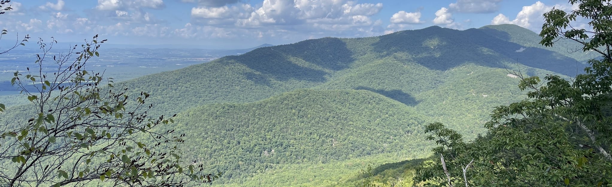 Riprap Trail : 1,385 Reviews, Map - Virginia | AllTrails