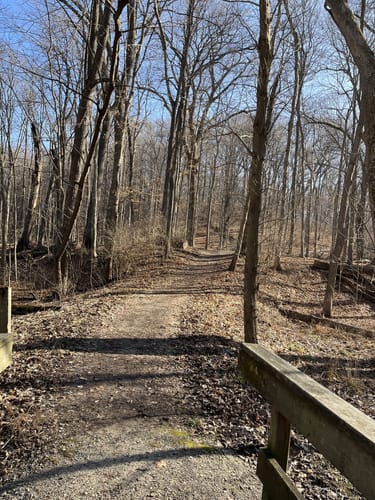 2023 Best trails in Faust County Park | AllTrails