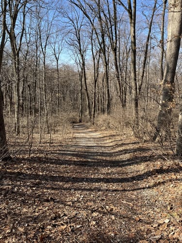 2023 Best trails in Faust County Park | AllTrails