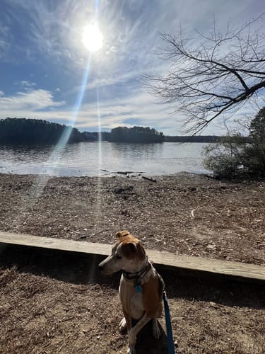 Best Hikes and Trails in Lake Benson Park | AllTrails