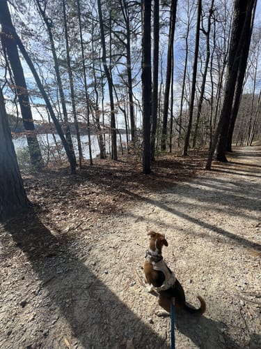 Best Hikes and Trails in Lake Benson Park | AllTrails