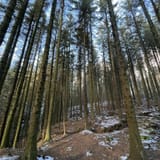 Snake Woodland and Snake Path Circular, Derbyshire, England - 199 ...