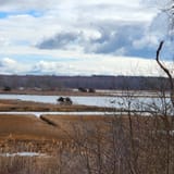 Barn Island Wildlife Management Area Trail, Connecticut - 627 Reviews ...