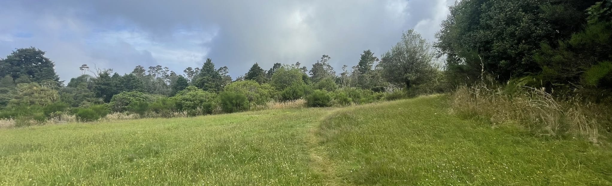 Opepe Southern Walking Track, Waikato, New Zealand - 21 Reviews, Map ...