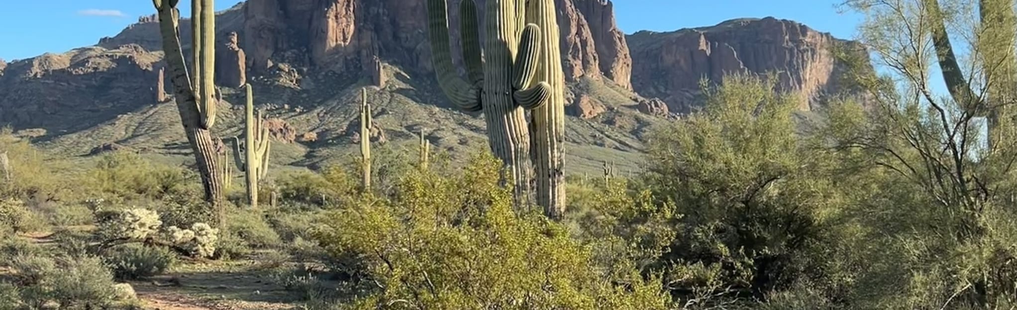 Quail Loop at Lost Dutchman State Park, Arizona - 34 Reviews, Map ...