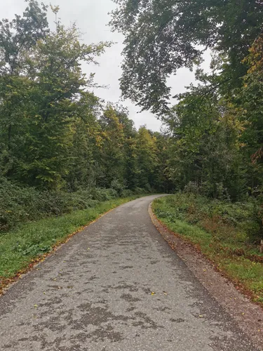 2023 Best 10 Trails and Hikes in Vienna | AllTrails